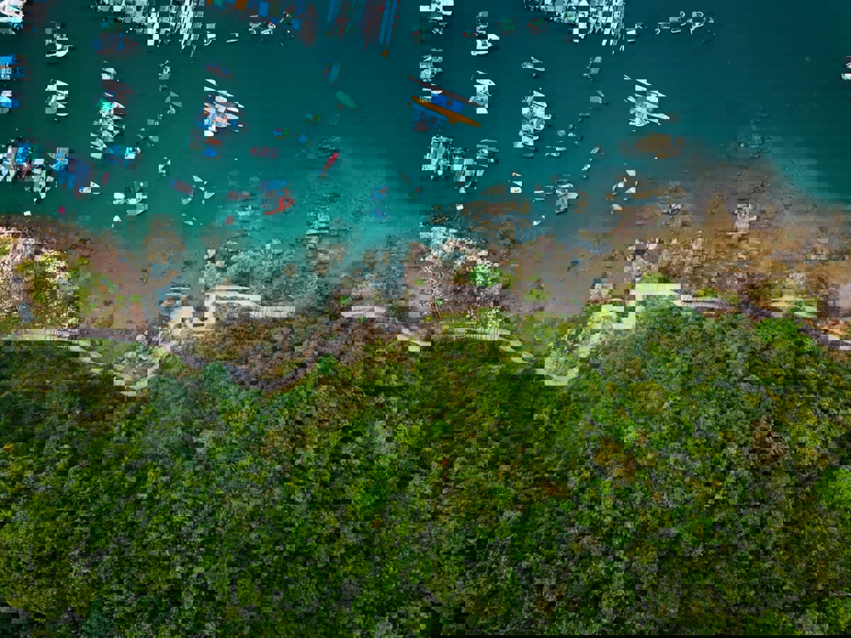 Opinion: Shipping can tackle climate change, biodiversity loss, and ...