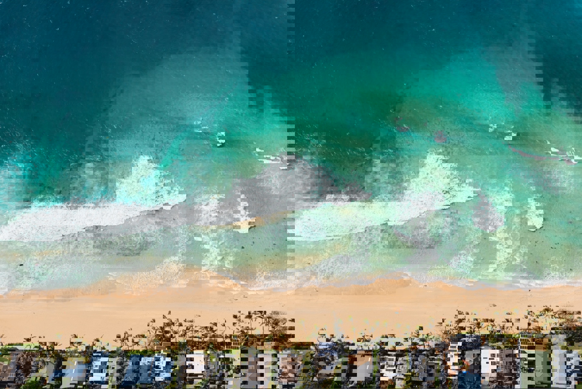 A breakthrough for oceans: Scaling Nature-based solutions for ocean ...