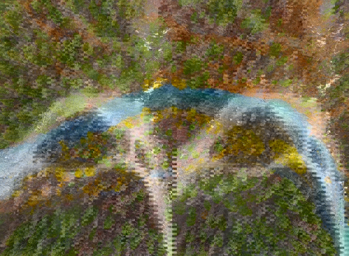 Every sector must play their part in contributing towards a nature ...