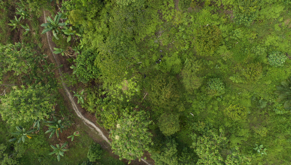 Unilever’s journey towards net zero value chain emissions by 2039