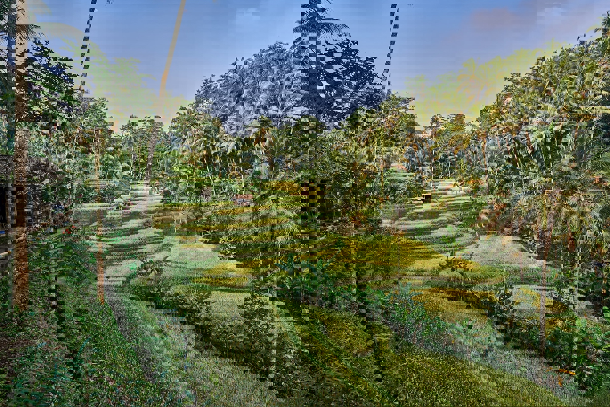 Coming Soon: Future Forward documentary series