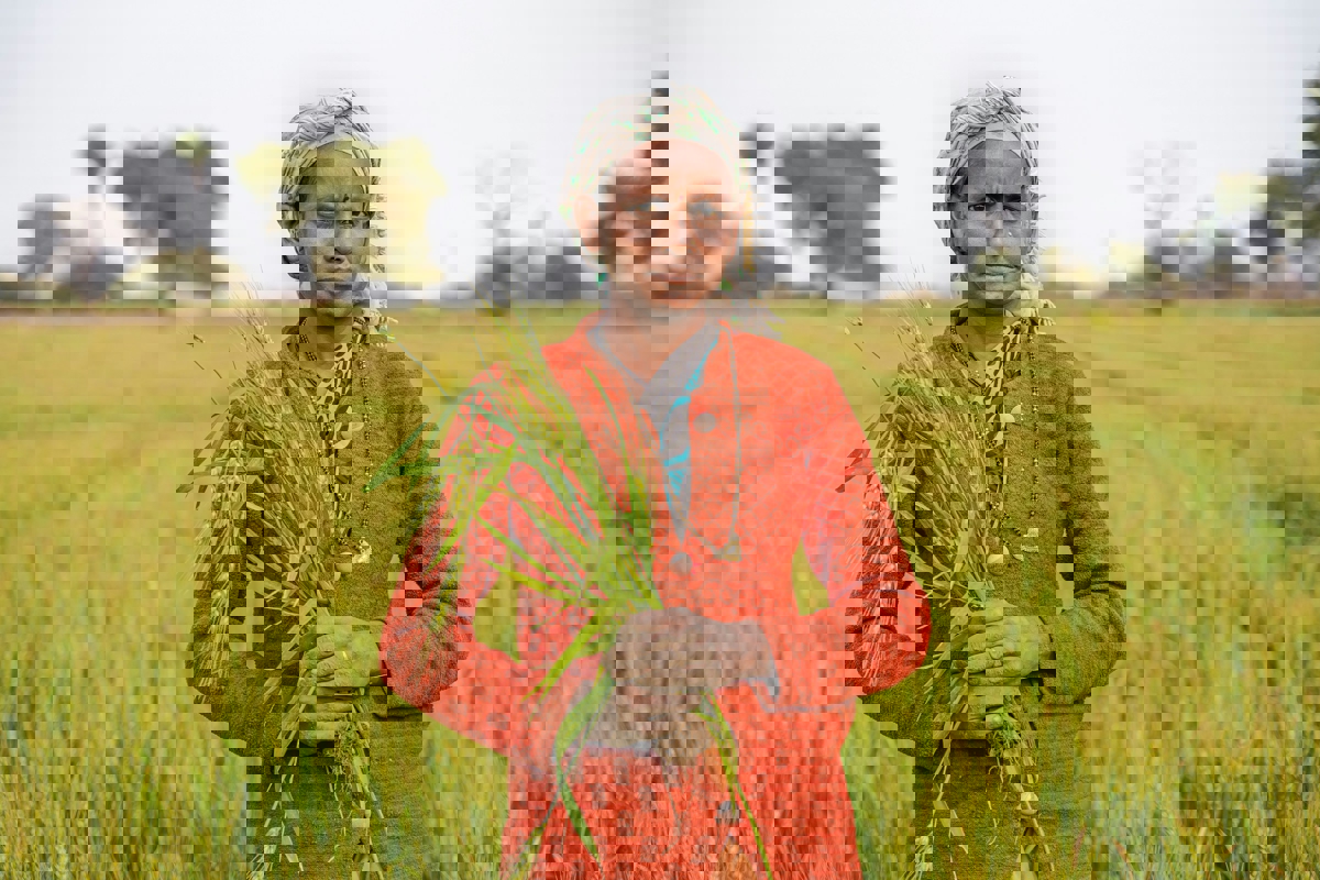 17. Reducing the effects of climate change on eradicating hunger and ...