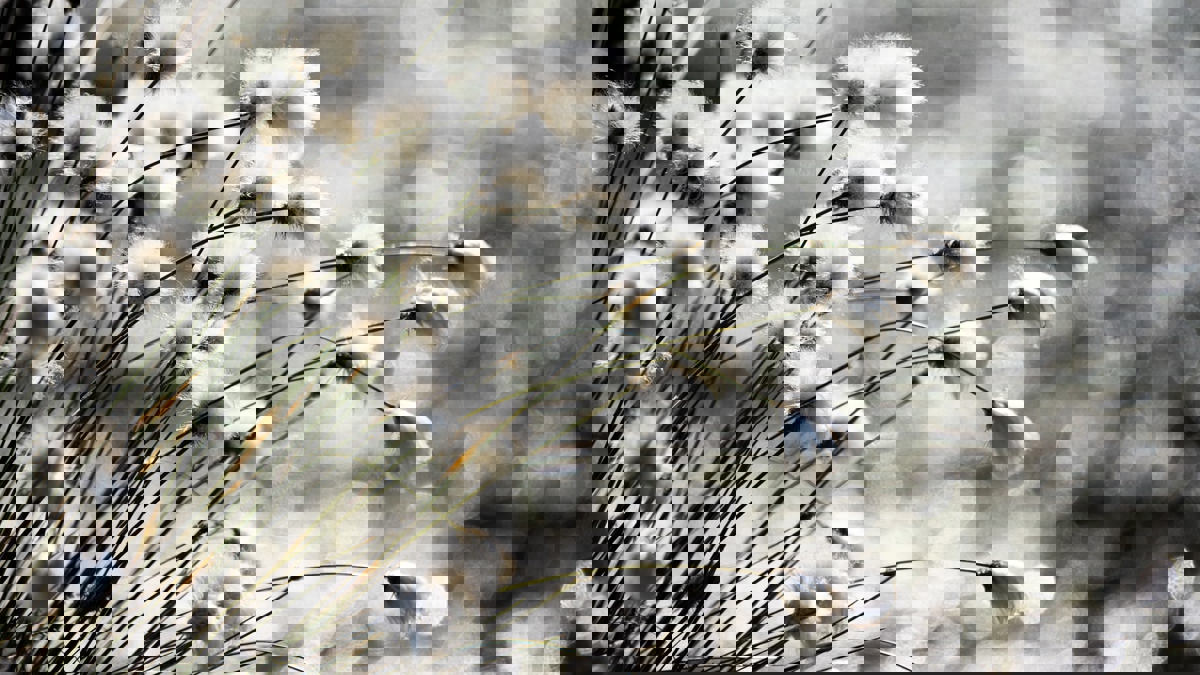 H&M Group CEO: Our mission is to make sustainable fashion accessible to all