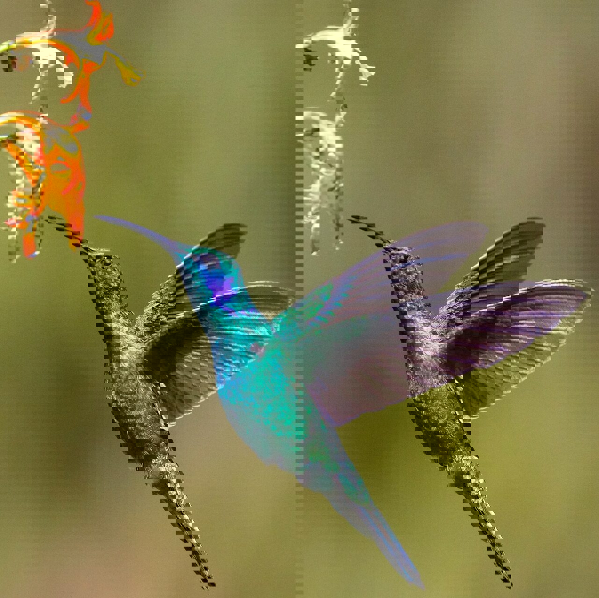 H.E Razan Al Mubarak: Nature is not ornamental, but fundamental. LCAW ...