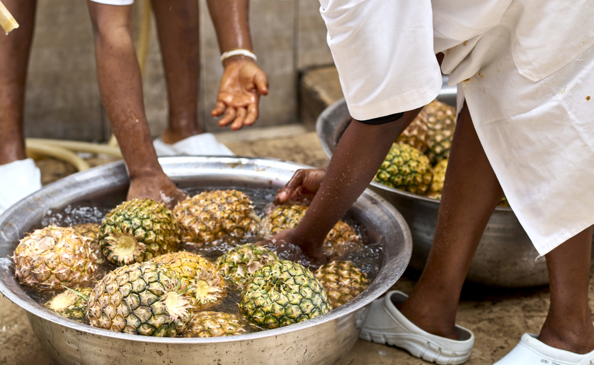 Philanthropic commitment to scale and accelerate regenerative and agroecological food systems ...