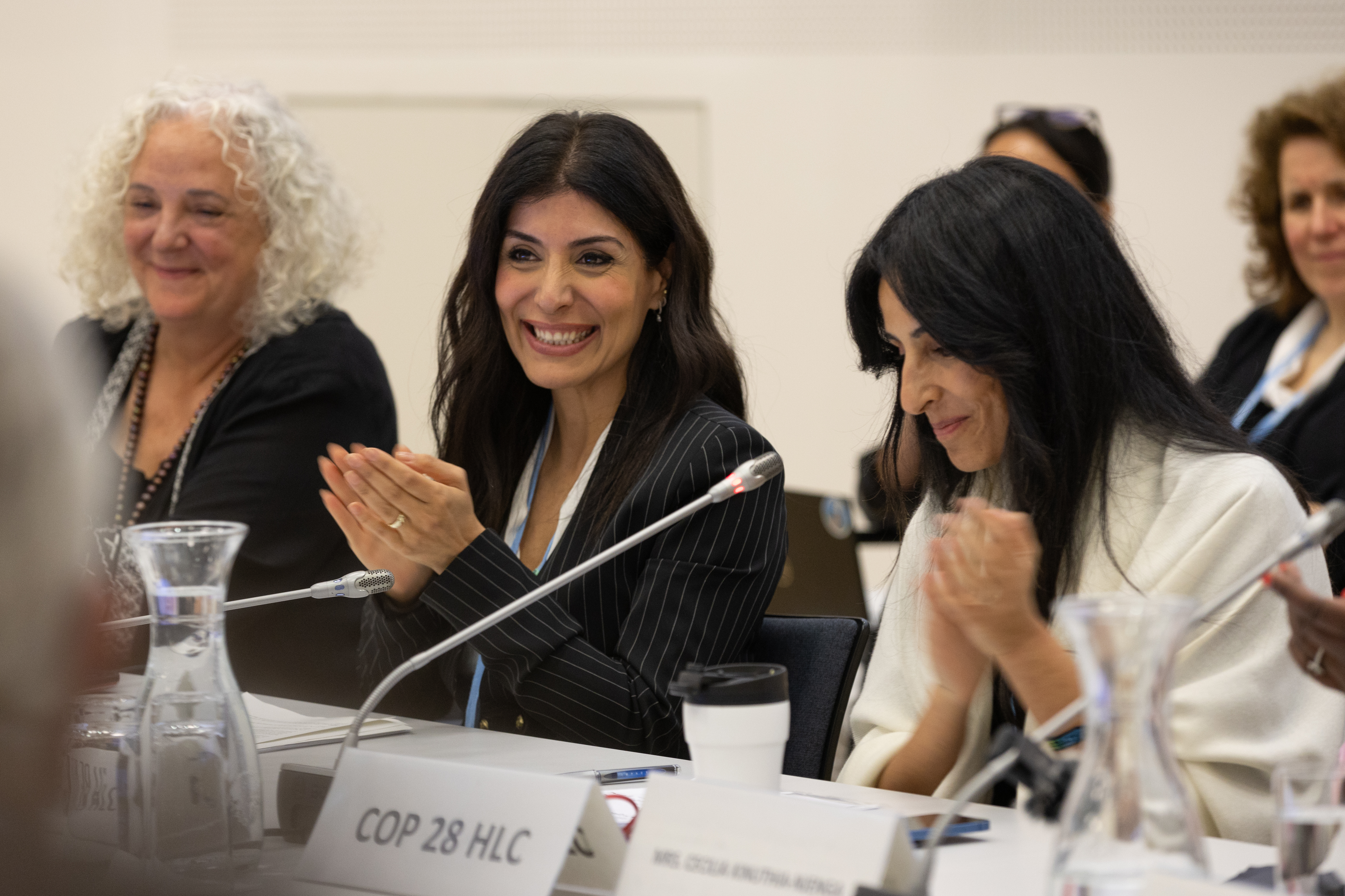 Un Climate Change High Level Champions