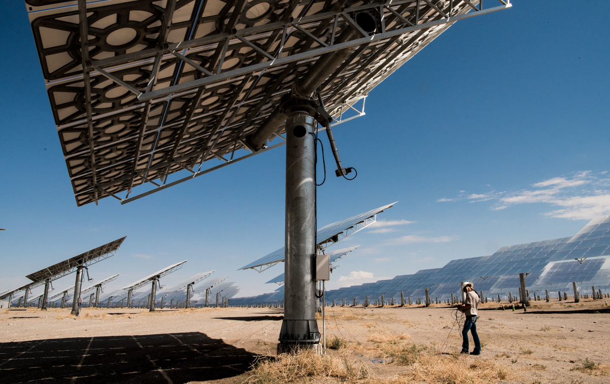 Today’s Top of the COP: Cut carbon, restore nature & build resilience