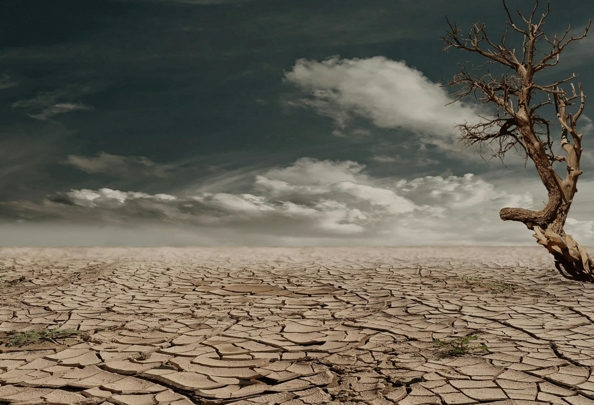 MENA Regional Climate Week | 2023
