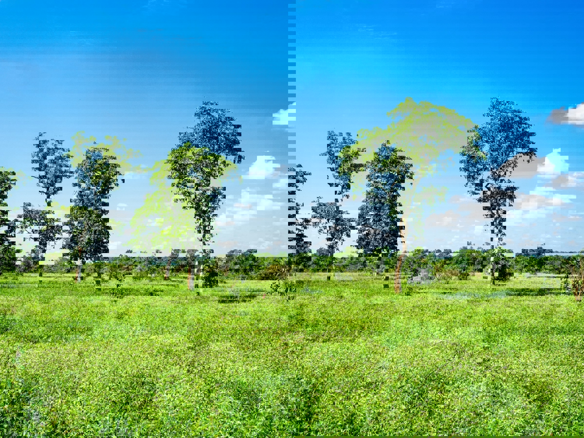 6. Efforts to conserve, protect, and restore nature and ecosystems with ...