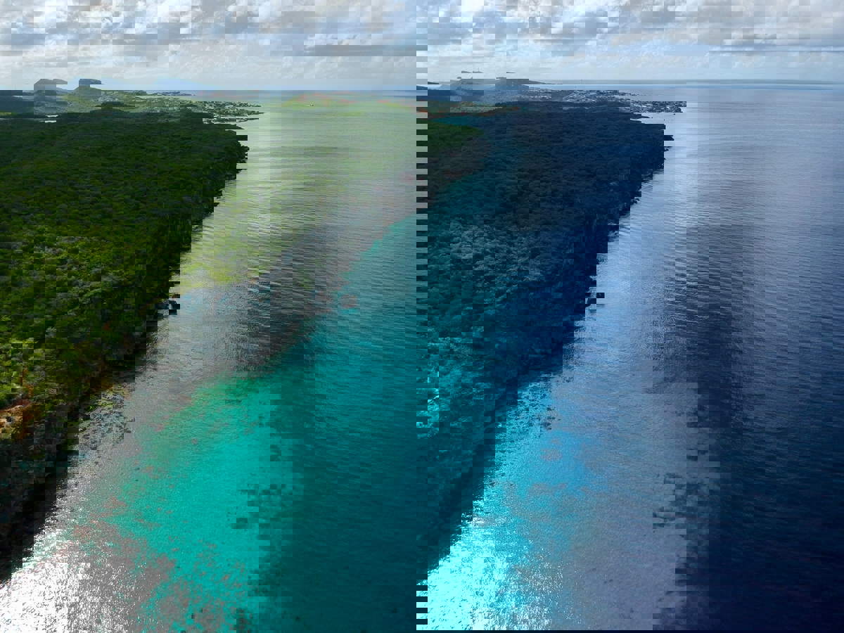 Confronting ocean resilience at Latin America and Caribbean Climate Week