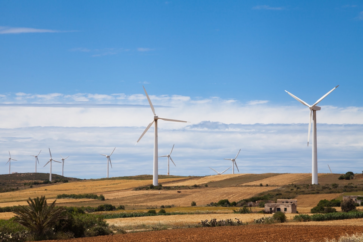 Africa Carbon Markets Initiative announces 13 action programs