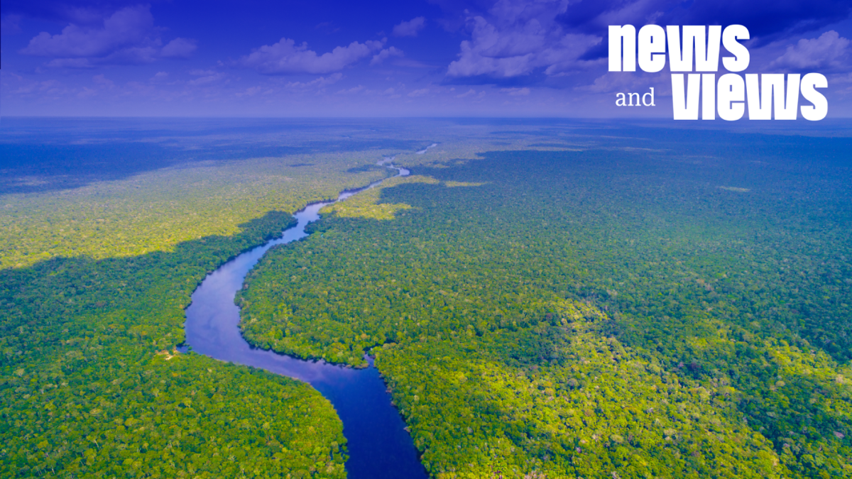 News & Views: The Countdown to COP30