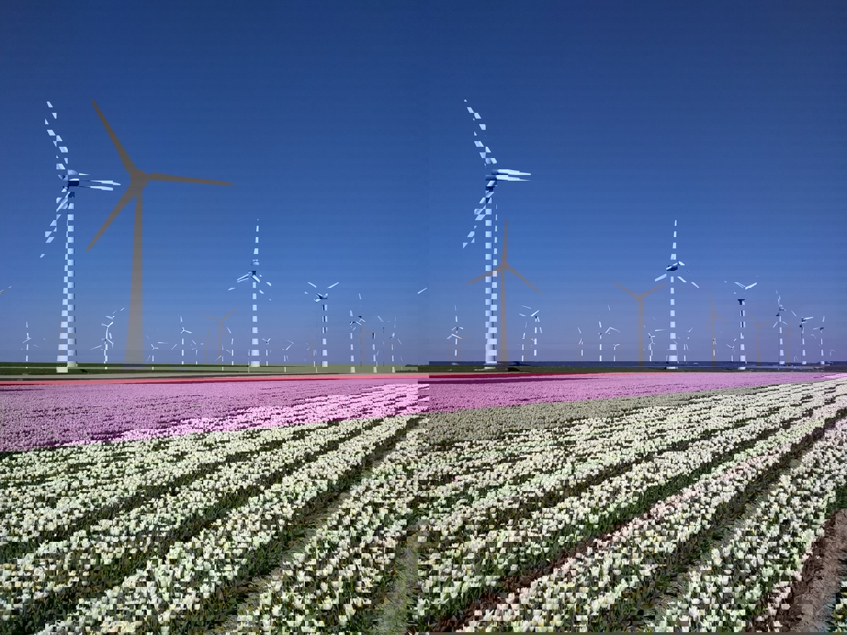 How we reach zero-carbon energy independence